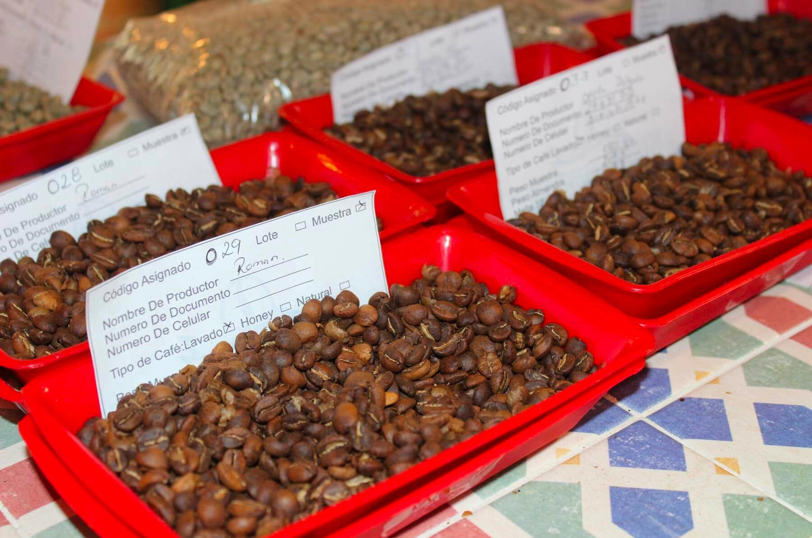 Our Story – Fidela Coffee Roasters