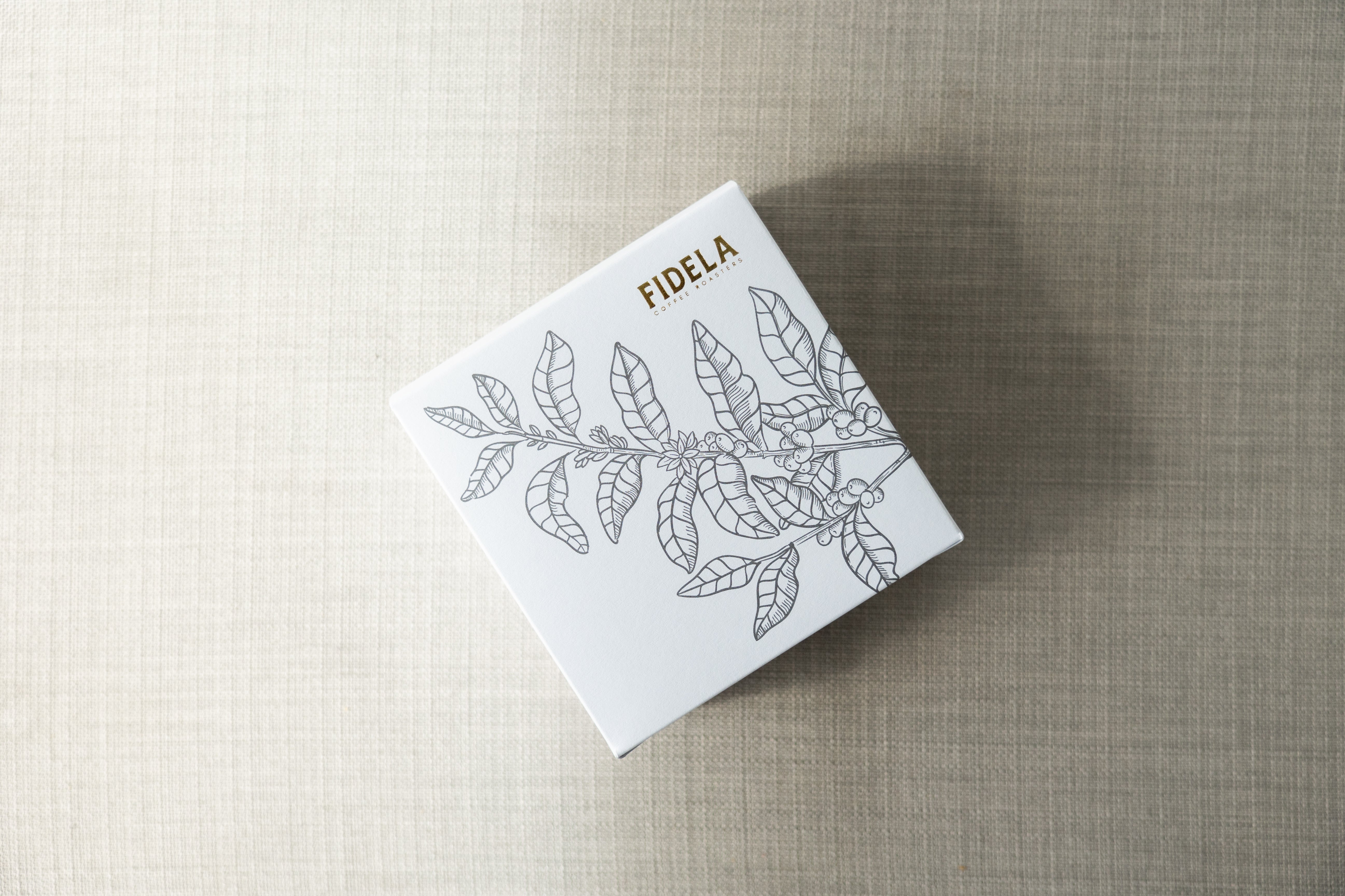 Fidela Coffee Roasters