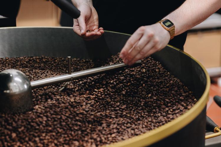 Fidela Coffee Roasters