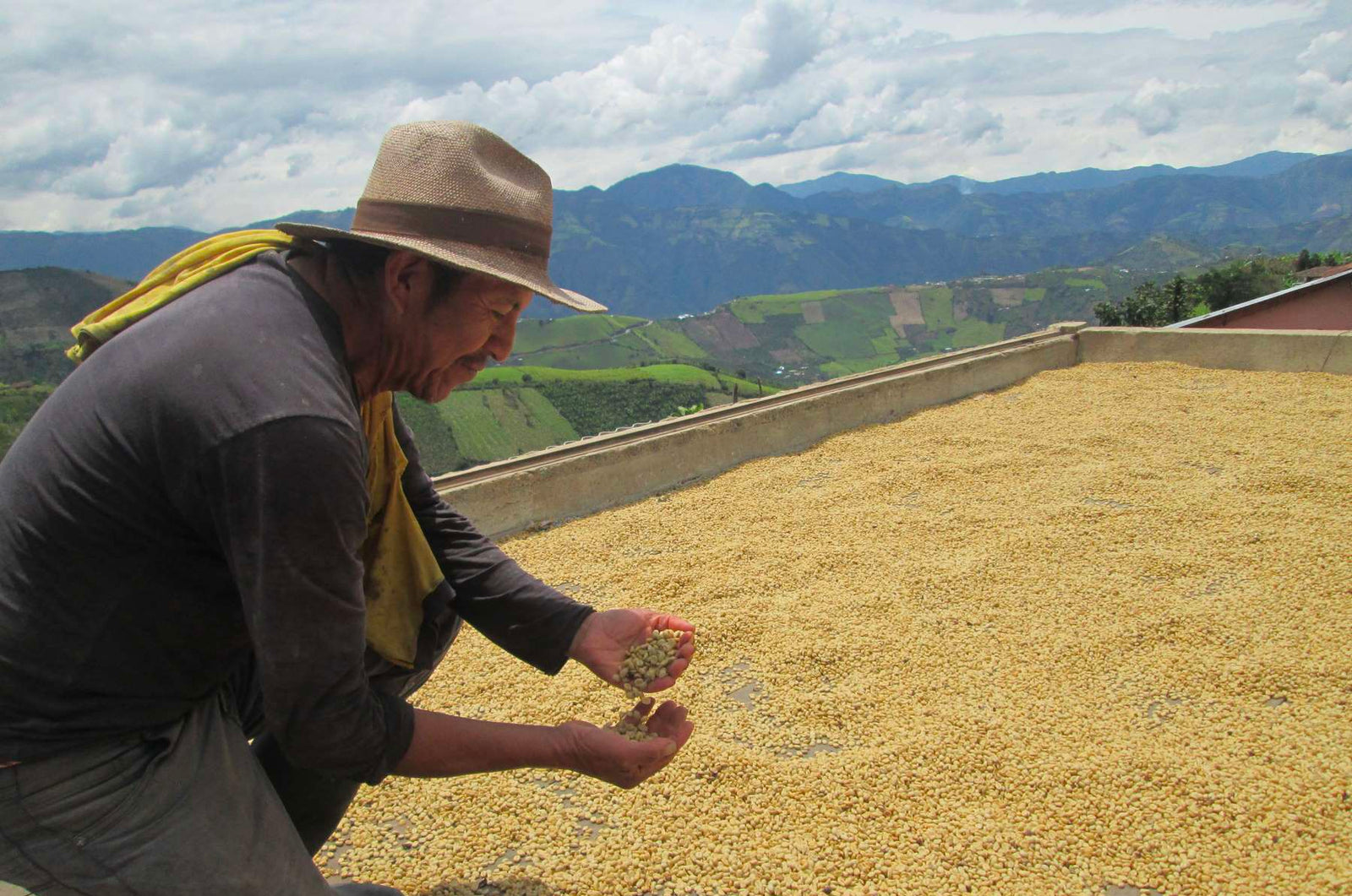 Our Story – Fidela Coffee Roasters